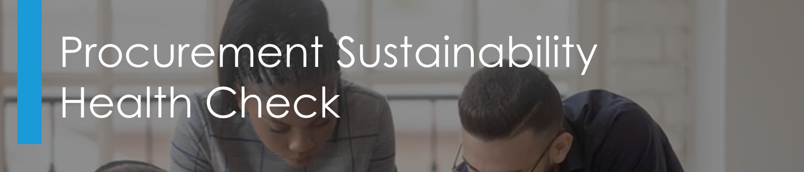 Sustainable Procurement Advisory Services