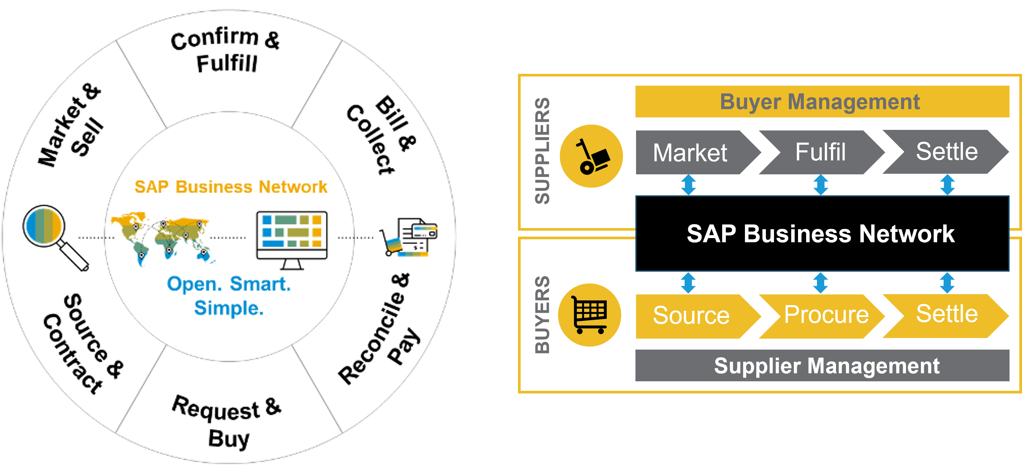 SAP Business Network Adoption | excelerateds2p